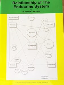 Dr. Harrower's Relationship of the Endocrine Glands chart - IFNH